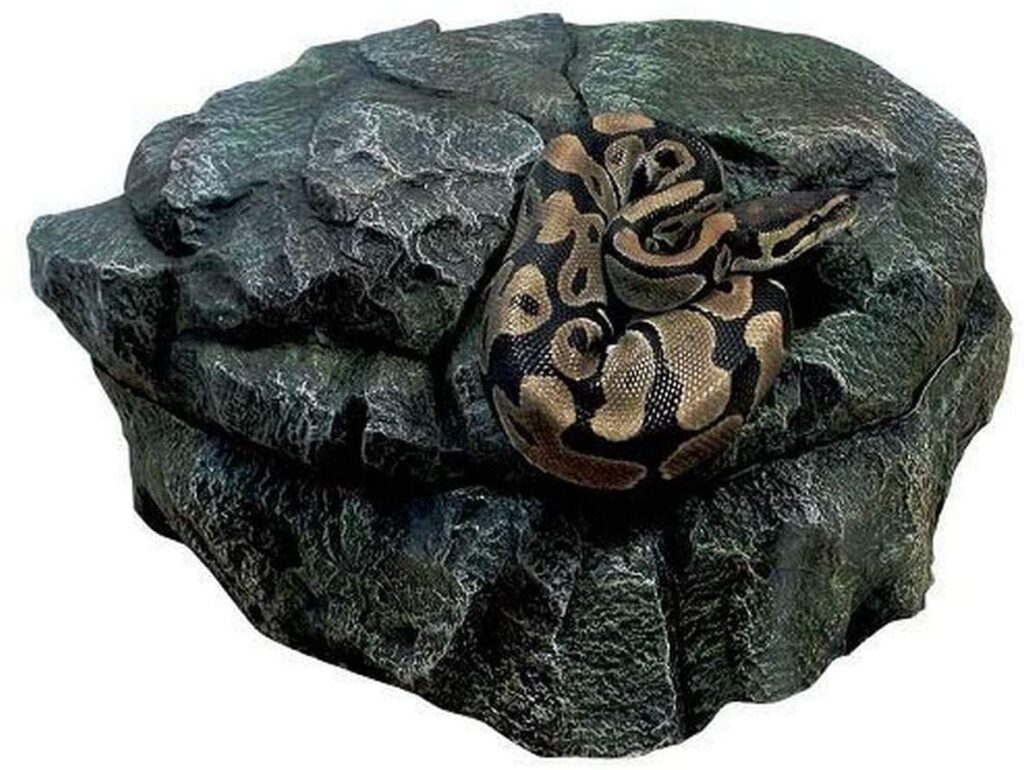 The Best Hides For Snakes - Ultimate Guide - Pets Gal