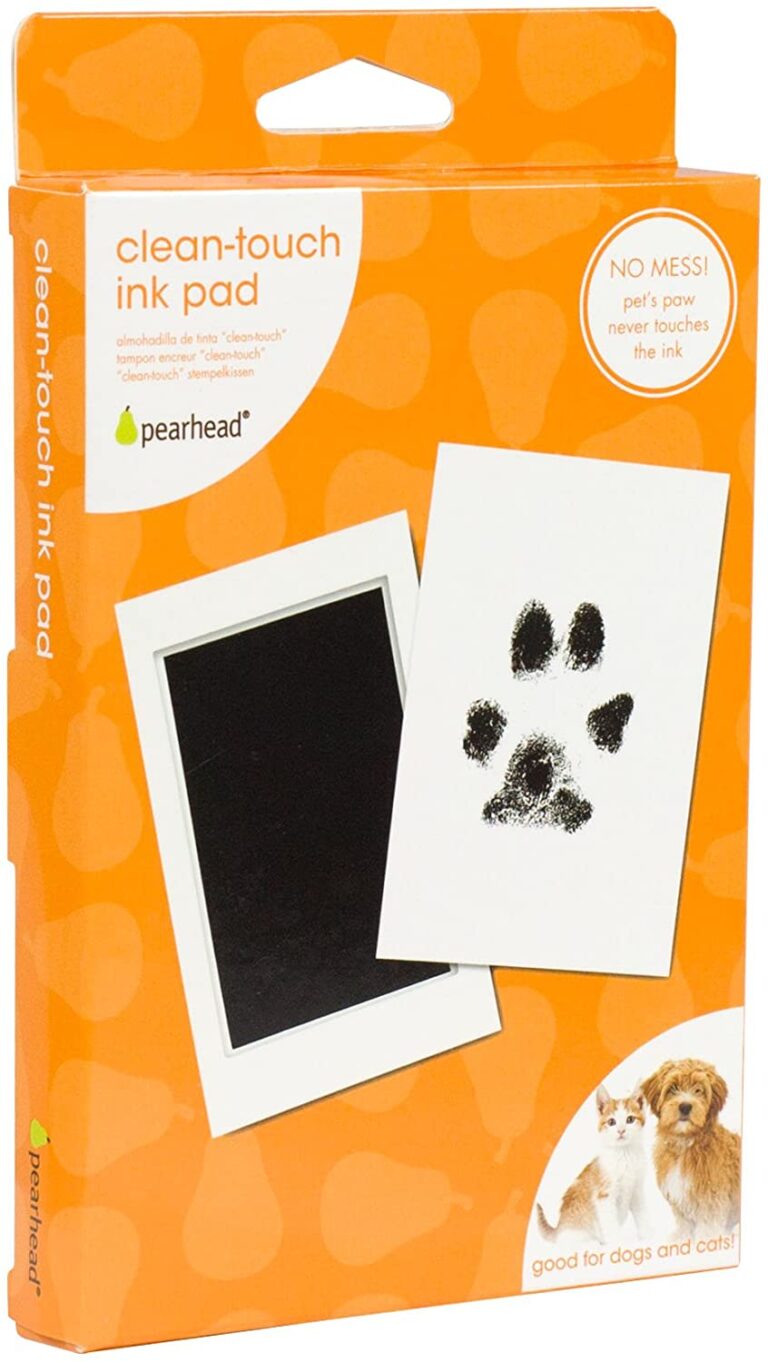 Best Paw Print Pads - And Why You Need Them! - Pets Gal