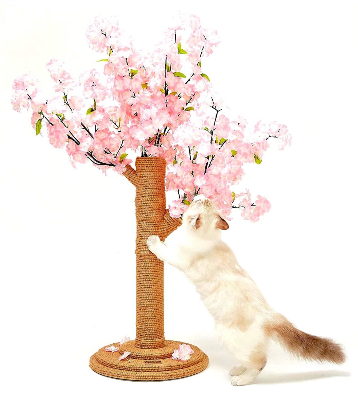 11 Best Cat Trees That Look Like Trees - Pets Gal